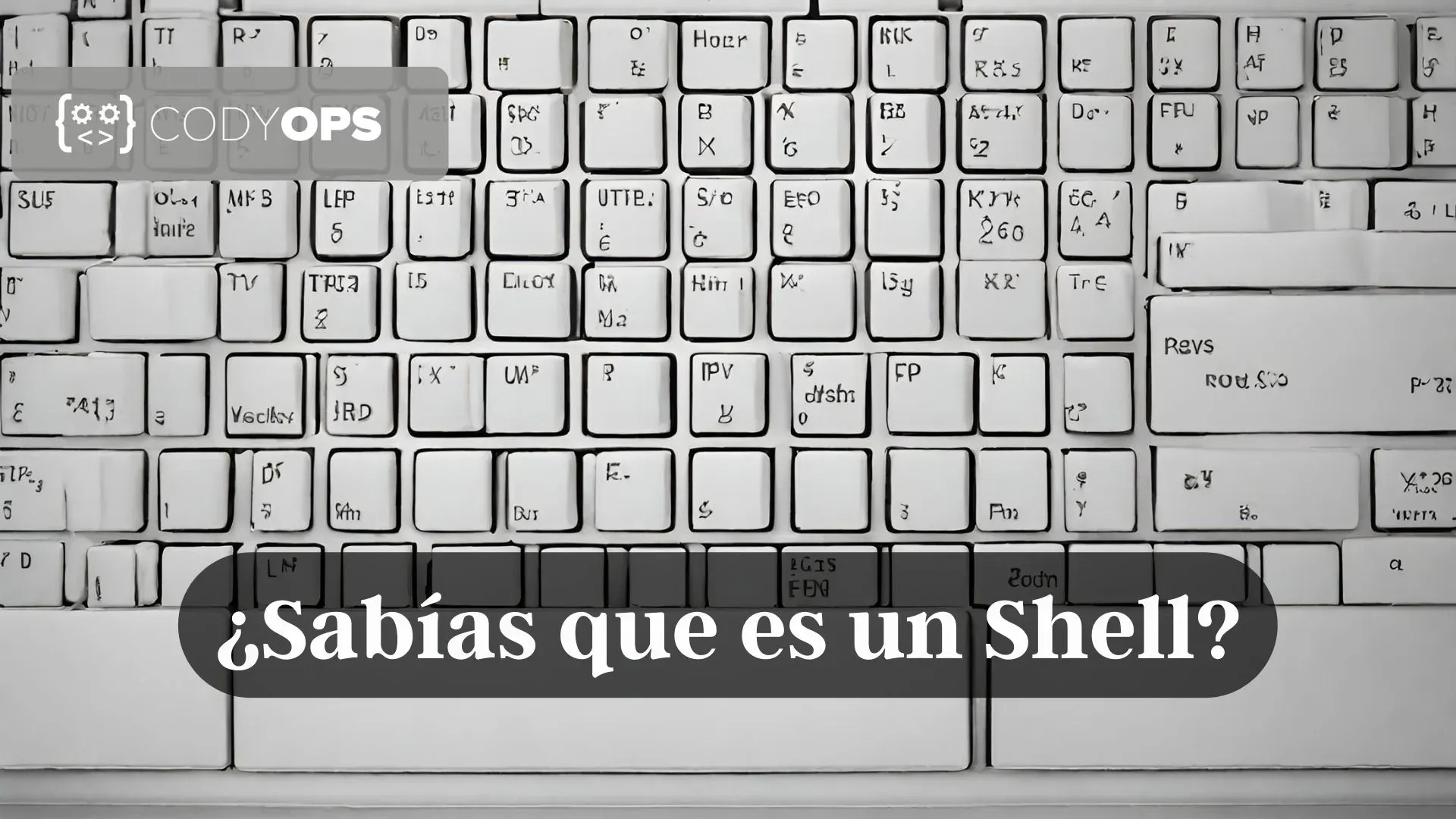¿Sabias que es un Shell? ¿Sabias que es un Shell?